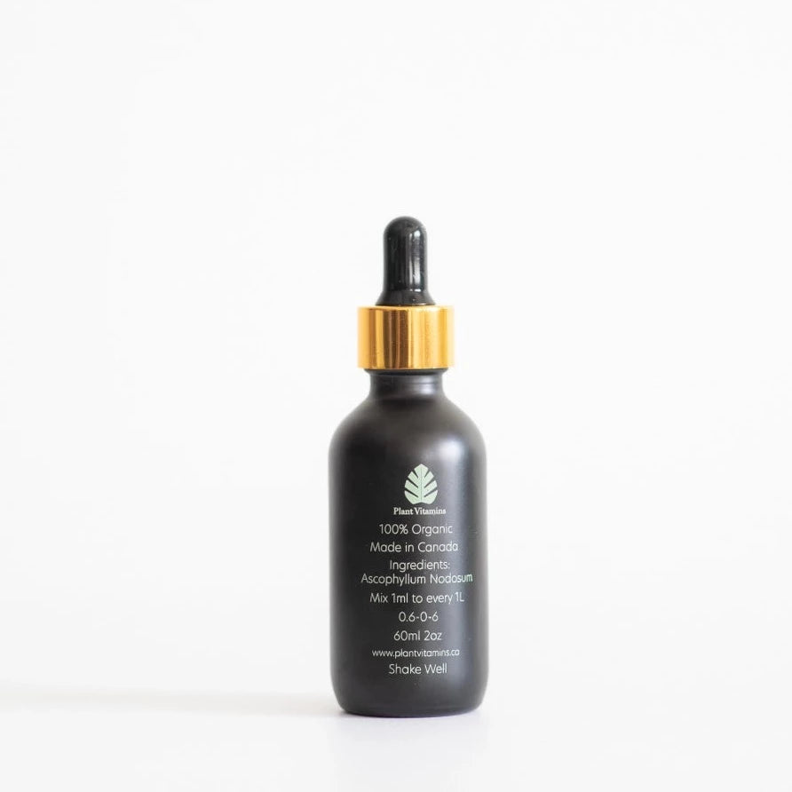 Plant Vitamins – Academy Florist